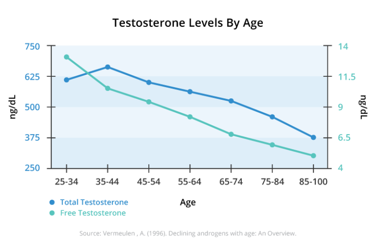 Steroid Cycles - Anabolic Basics for Beginners (The Guide)